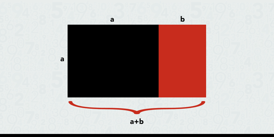 9 Examples of the Golden Ratio in Nature, from Pinecones to the Human Body